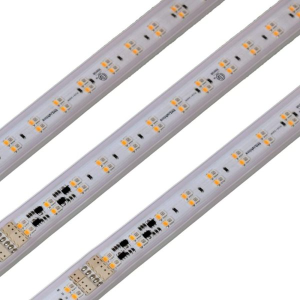Vision120™ 120V RGBW Wet Location LED Tape - GM Lighting LLC